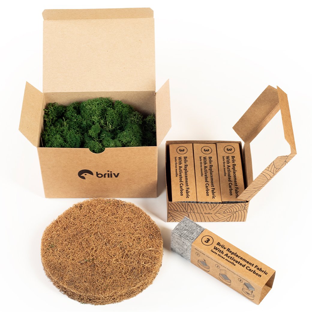 Briiv - Reindeer Moss One Year Filter Set
